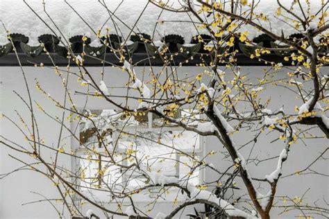李商隱最美的無題詩（上） 每日頭條