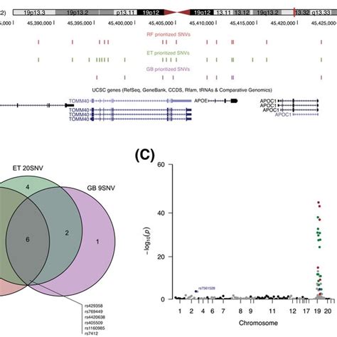 A, The genomic location of single nucleotide variants (SNVs) selected ...