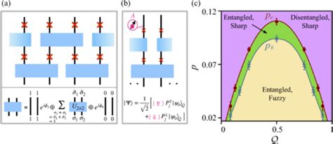Entanglement Meets Charge Unveiling Quantum Dynamics Hidden Secrets