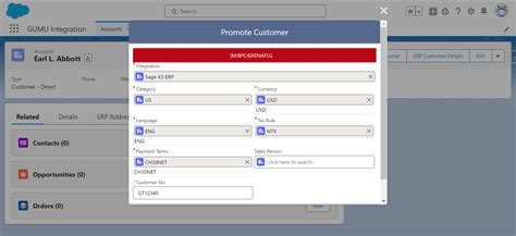 How To Resolve The Xena Flag Issue On Account Promotion For Sage X3 ERP