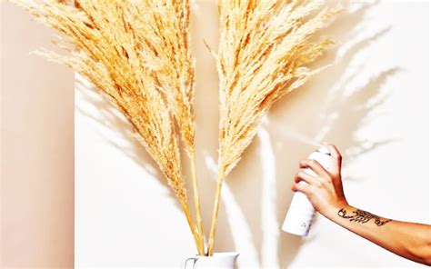 Everything You Need To Know About Pampas Grass Decor