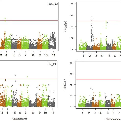 manhattan plots showing candidate single nucleotide polymorphisms