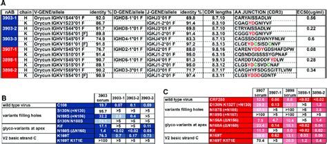 Neutralizing Monoclonal Rabbit Antibodies Derived From Three Different