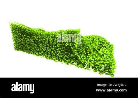 Vj Loop Vfx Particle Based 3d Fluid Simulation 3d Liquid Particles