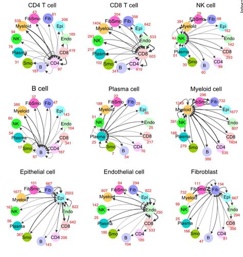单细胞转录组数据的个性化分析汇总 生信菜鸟团