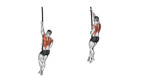 La Montée De Corde Muscu Street Et Crossfit