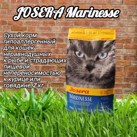Корм сухой гипоаллергенный JOSERA Marinesse для кошек неравнодушных к