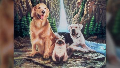Did You Know 8 Incredible Facts About Homeward Bound The Incredible