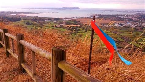 The Ultimate Guide To Exploring Jeju Olle Trails Trazy Blog