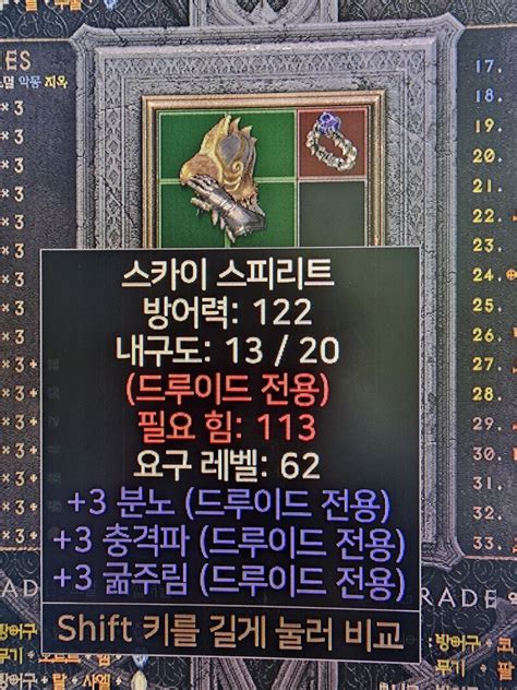드루 뚜껑 뼈대 하나 주웠는데 좀 봐주세요~ 디아블로2 득템and자랑 게시판 디아블로2 인벤