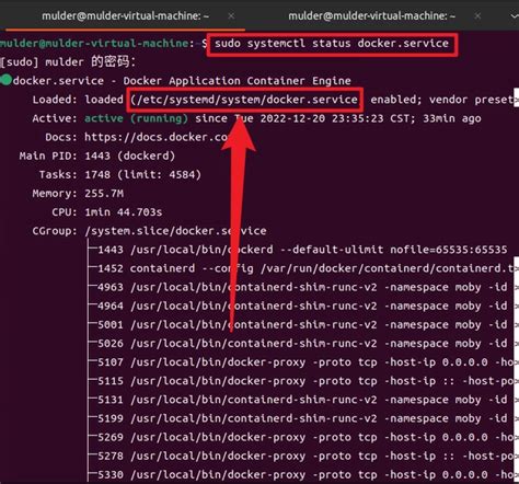 分享linux中查找rvice文件路径的方法systemctl 怎么查看service文件目录 Csdn博客