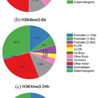 Peaks Obtained From MACS2 Callpeak Function Were Identified Using The
