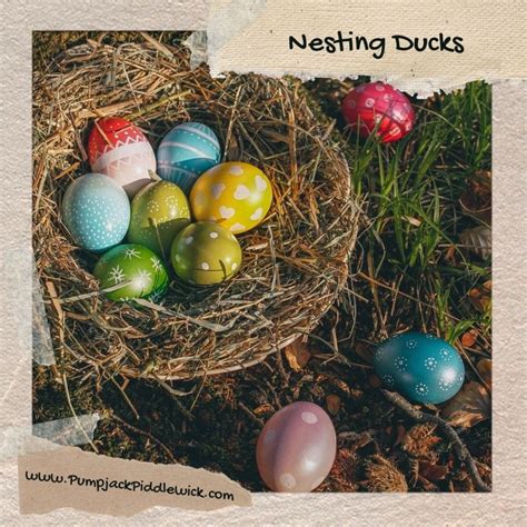 Nesting Ducks At Easter With Pumpjack And Piddlewick