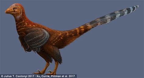 New Species Of Feathered Dinosaur Discovered In China Daily Mail Online