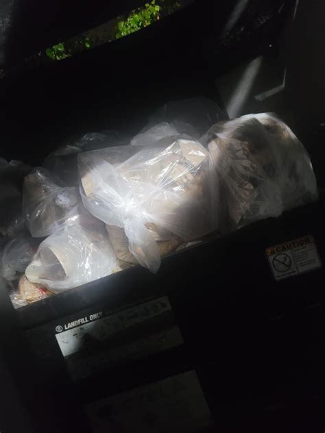 Hate It When Our Stores Trash Bin Overflows And How Theres Rats As