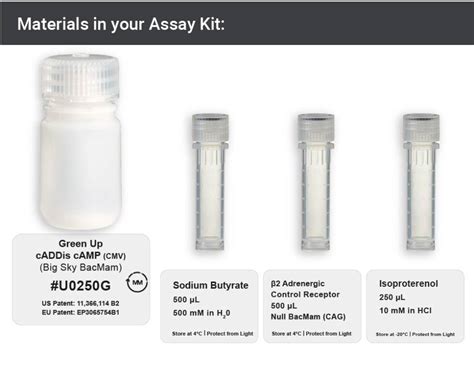 Green Up Caddis Camp Assay Big Sky U0250g Montana Molecular