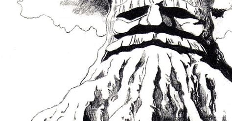 Deku Tree Album On Imgur