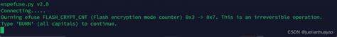 Esp32 Flash Encryption 学习detected Size4096k Larger Than The Size In