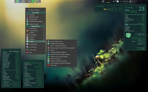 Cele Mai Frumoase Distribuții Arch Linux