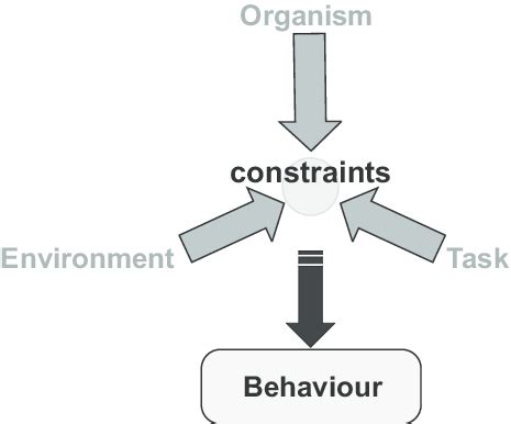 The Three Main Types Of Constraints That Set Up The Work Space Download Scientific Diagram