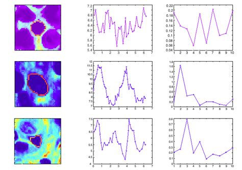 Fourier Descriptors For Different Nuclei Shapes Download Scientific Diagram