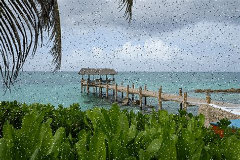 Salt And Pepper Noise And Median Filters Part I The Theory Kyle Ingraham Engineer