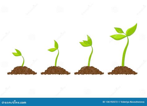 Simple Sprouting Seed Drawing Sprout Plant Tree Growing Agriculture Icons Stock Illustration