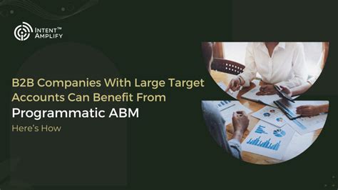 B2B Companies With Large Target Accounts Can Benefit From Programmatic