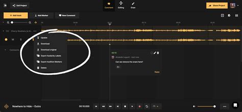 How To Export And Import Comments Into Audacity Notetracks Audio