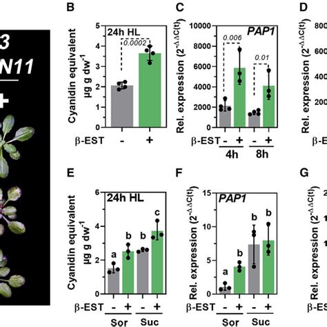 Comparative Transcriptome Analysis Indicated Deregulation Of Snrk1