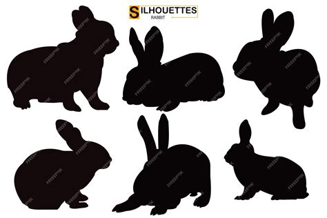 Conjunto De Diferentes Siluetas De Conejos Para Uso De Diseño Vector