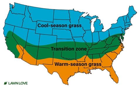 When Does Grass Stop Growing