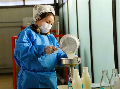 Органик сүүн бүтээгдэхүүнийг 4 улирлын турш үйлдвэрлэж байна