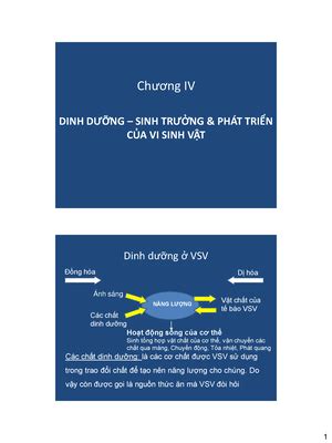 Chuong 7 Sinh ly noi tiet Sinh lý học người và động vật tập 2 NXB Đại