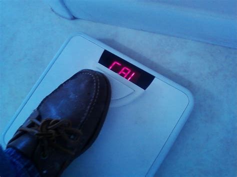 Calibration Switch For Electronic Scale Free 3d Model On