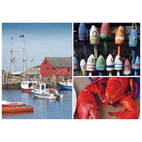 Catch Of The Day Lobster Paper Placemats Party At Lewis Elegant Party