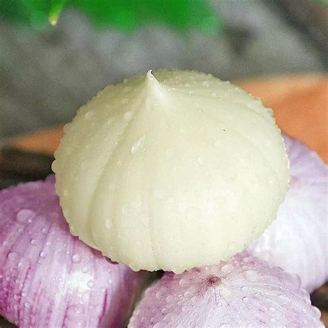 四川特产独蒜紫皮独头大蒜独头蒜紫蒜红皮大蒜农家自种干蒜头辛辣 虎窝淘