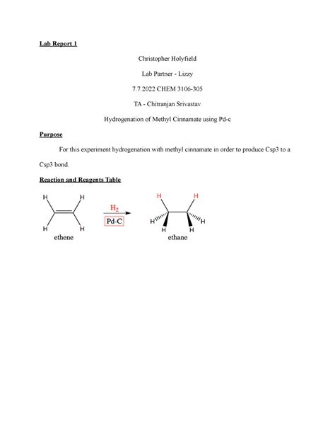 Ochem Lab Report Lab Report Christopher Holyfield Lab Partner Lizzy CHEM TA