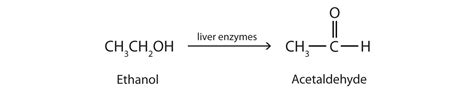 144 Reactions That Form Alcohols Chemistry Libretexts