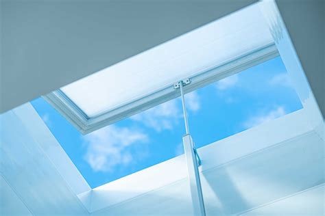 Nts1 Spindle Actuator Electric Maintenance Free 230 V 24 V 12 V