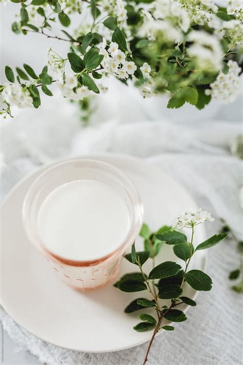Milk By Stocksy Contributor Tatjana Zlatkovic Stocksy