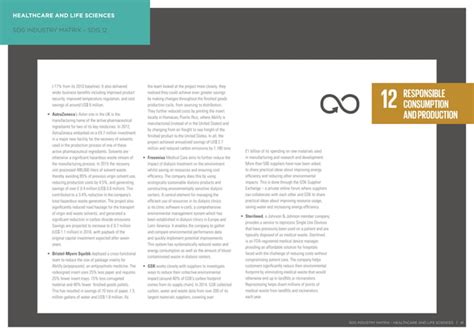 Sdg Matrix Healthcare Ppt