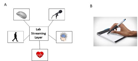 a lsl system synchronously allow co registration of motion pns eeg download scientific