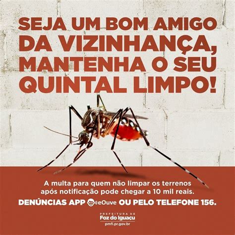 Combate às Arboviroses — Universidade Federal Da Integração Latino