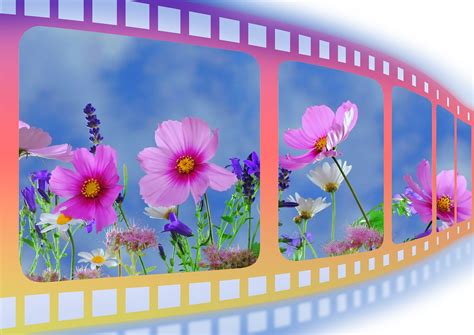 Как создать слайд шоу Блог Александра Гермакова Лучший способ создания слайд шоу для новичков