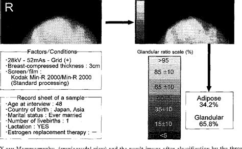 Pdf Breast Dosimetry System In Screenfilm Mammography Semantic Scholar