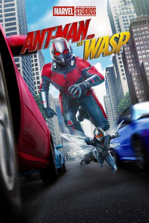Ant Man And The Wasp 2018 Baralan The Poster Database Tpdb