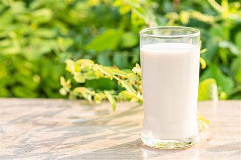 세계 우유의 날 클로즈업 나무 책상에 흰 우유 한 잔 자연 흐릿한 배경 해피 밀크 데이 유제품 개념 디자인 또는 콘텐츠를 위한