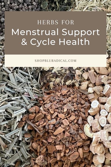 Herbs For Menstrual Support And Cycle Health Herbalism Tea Plant