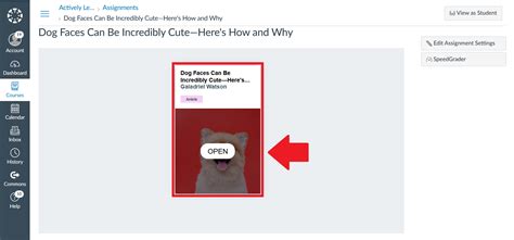 Assignment Sync And Grade Passback With Canvas Through Open Learning